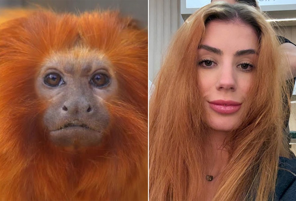 Maria Lina lembra mudança no cabelo que 'deu errado': 'Cara de um mico ...