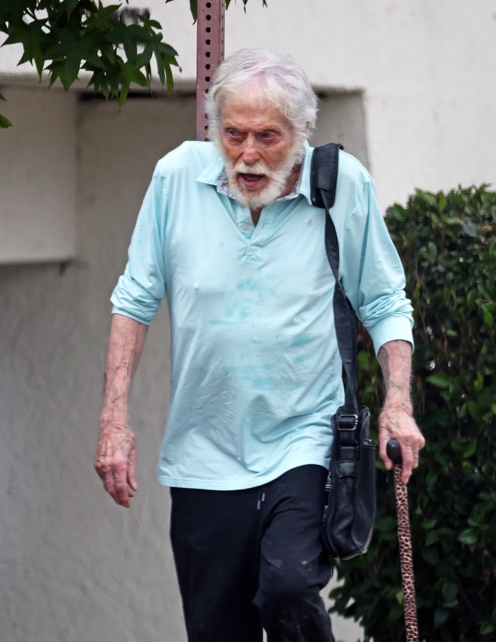 Aos 98 anos, ator Dick Van Dyke é clicado na Califórnia após preocupar ...