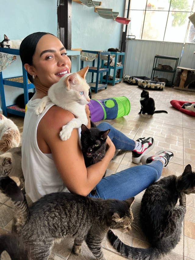 Aline Mineiro doa mil peças para bazar beneficente em prol de gatos ...