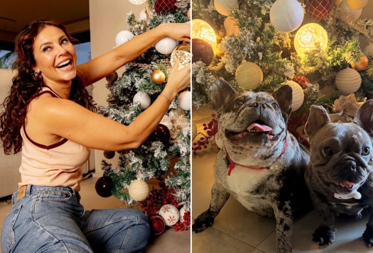 Paolla Oliveira mostra sua árvore de Natal: 'Aguardando os presentes'