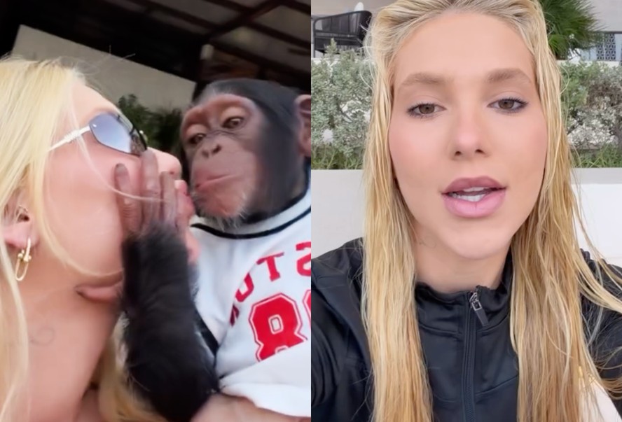 Vídeo com macaco, críticas de Luana Piovani, desculpas e nota oficial ...