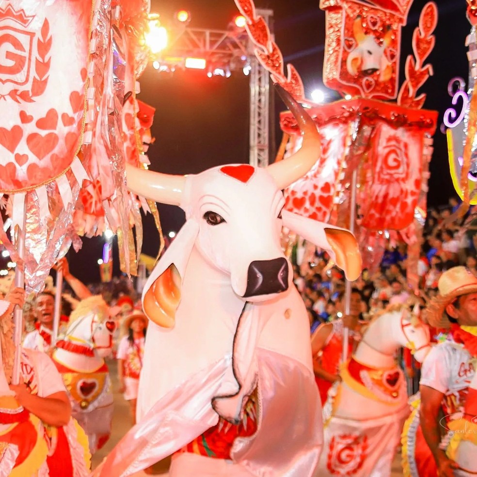 Parintins 2024: tudo sobre o festival folclórico dos bois Garantido e ...