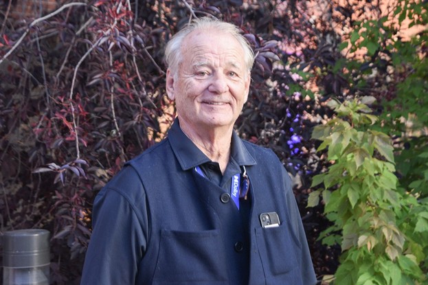 Saiba tudo sobre: Bill Murray