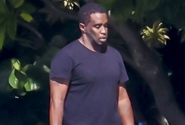 Saiba tudo sobre: Diddy