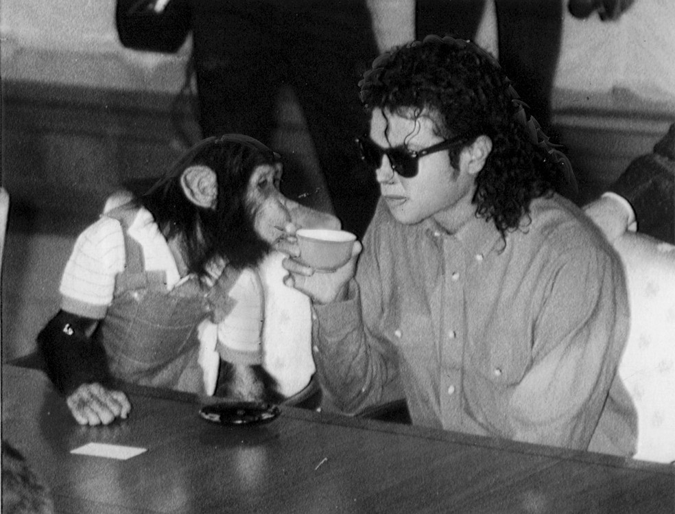 Bubbles, chimpanzé de Michael Jackson, faz 40 anos e ganha festa; FOTOS