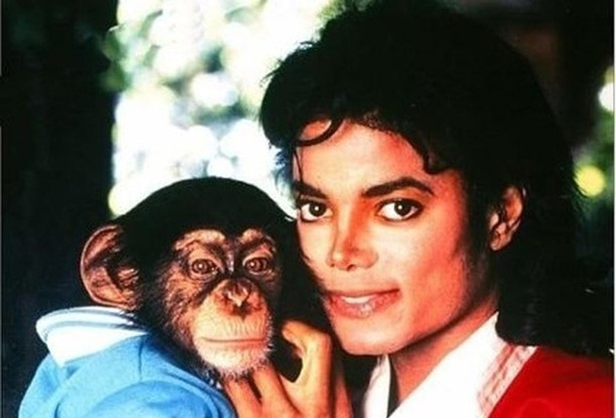 'Michael': Além de Bubbles, saiba quantos animais Michael Jackson já ...