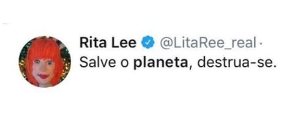 Rita Lee fez sucesso no Twitter com estilo desbocado e sincerão
