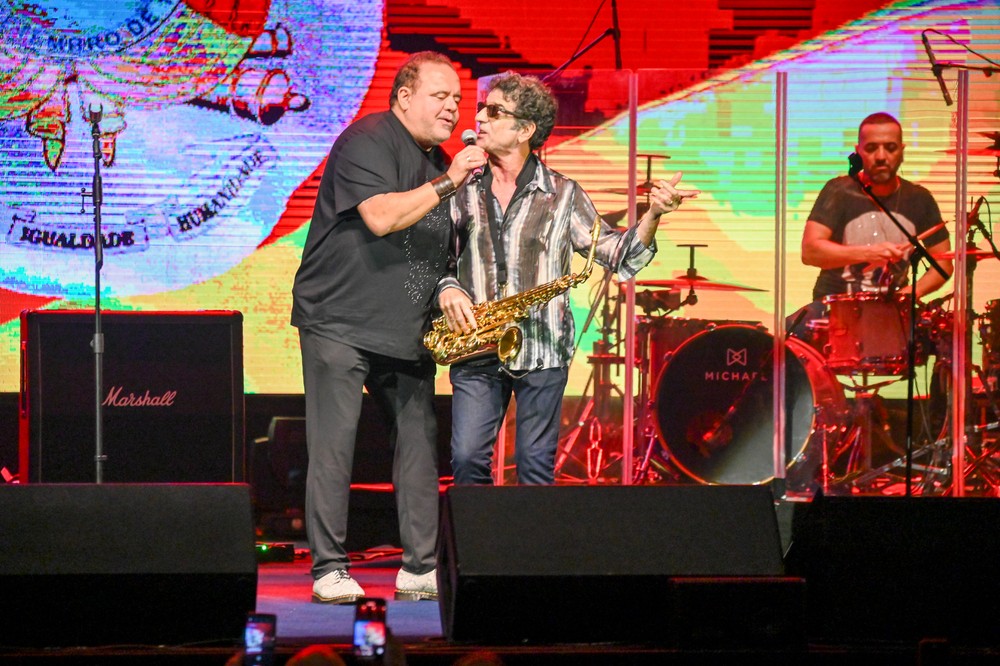 Tragédia no RS: Ney Matogrosso, Paula Toller, Adriana Calcanhotto e ...