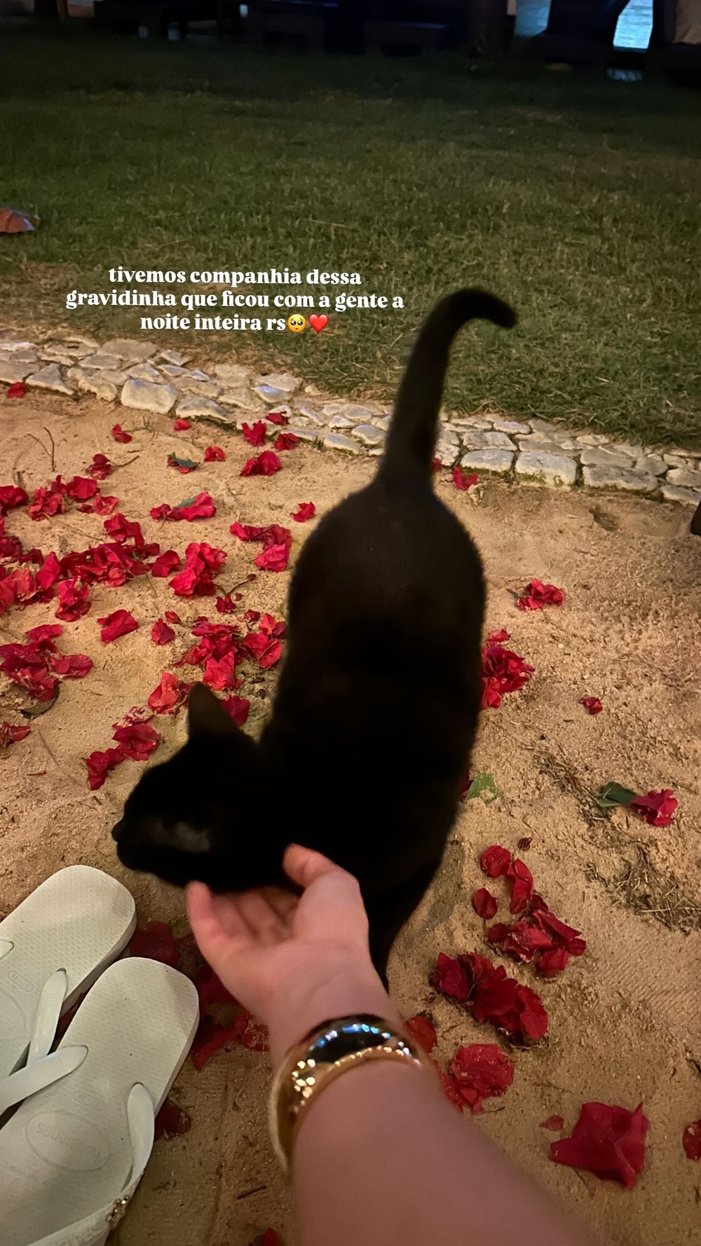 Goleiro do Corinthians faz surpresa romântica para influenciadora em ...