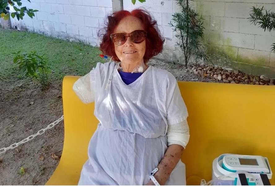 Após ataque de pitbulls, Roseana Murray posta foto e recebe apoio de ...