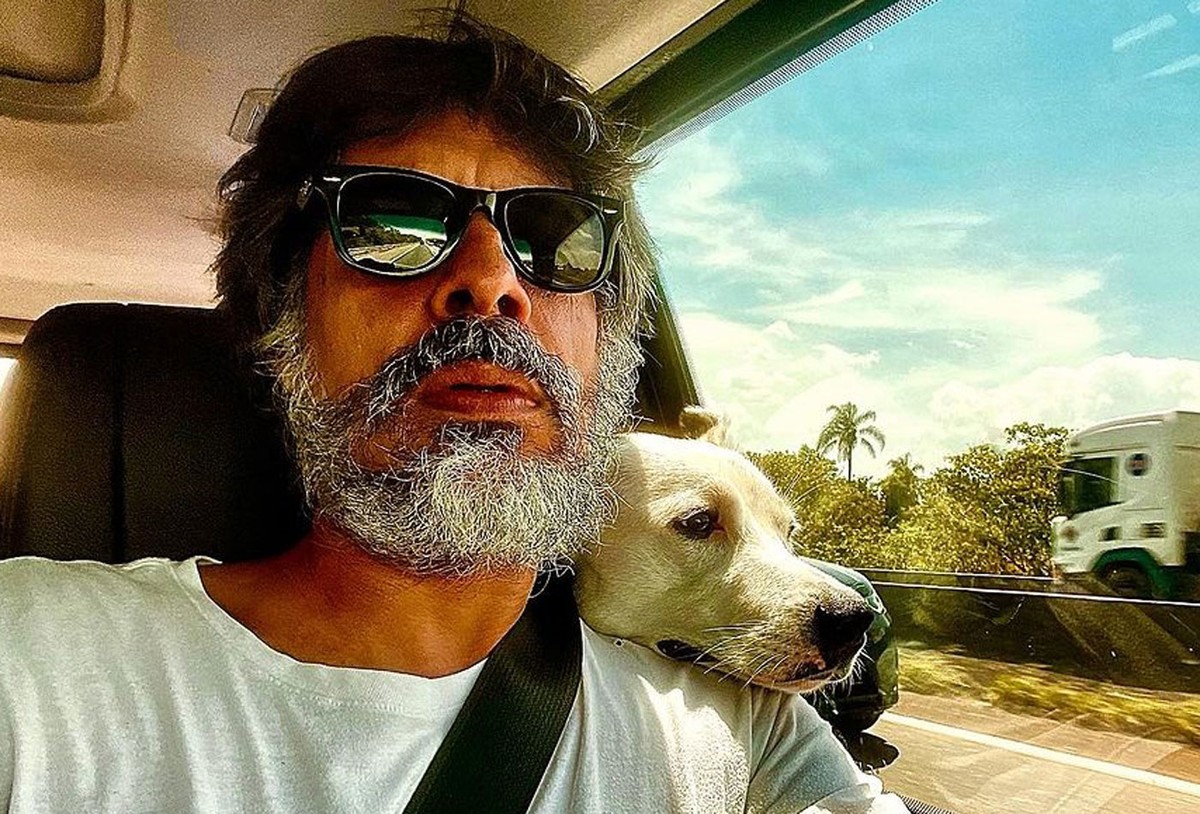 Quem é Daniel Alvim, marido de Helena Ranaldi envolvido em briga com ...